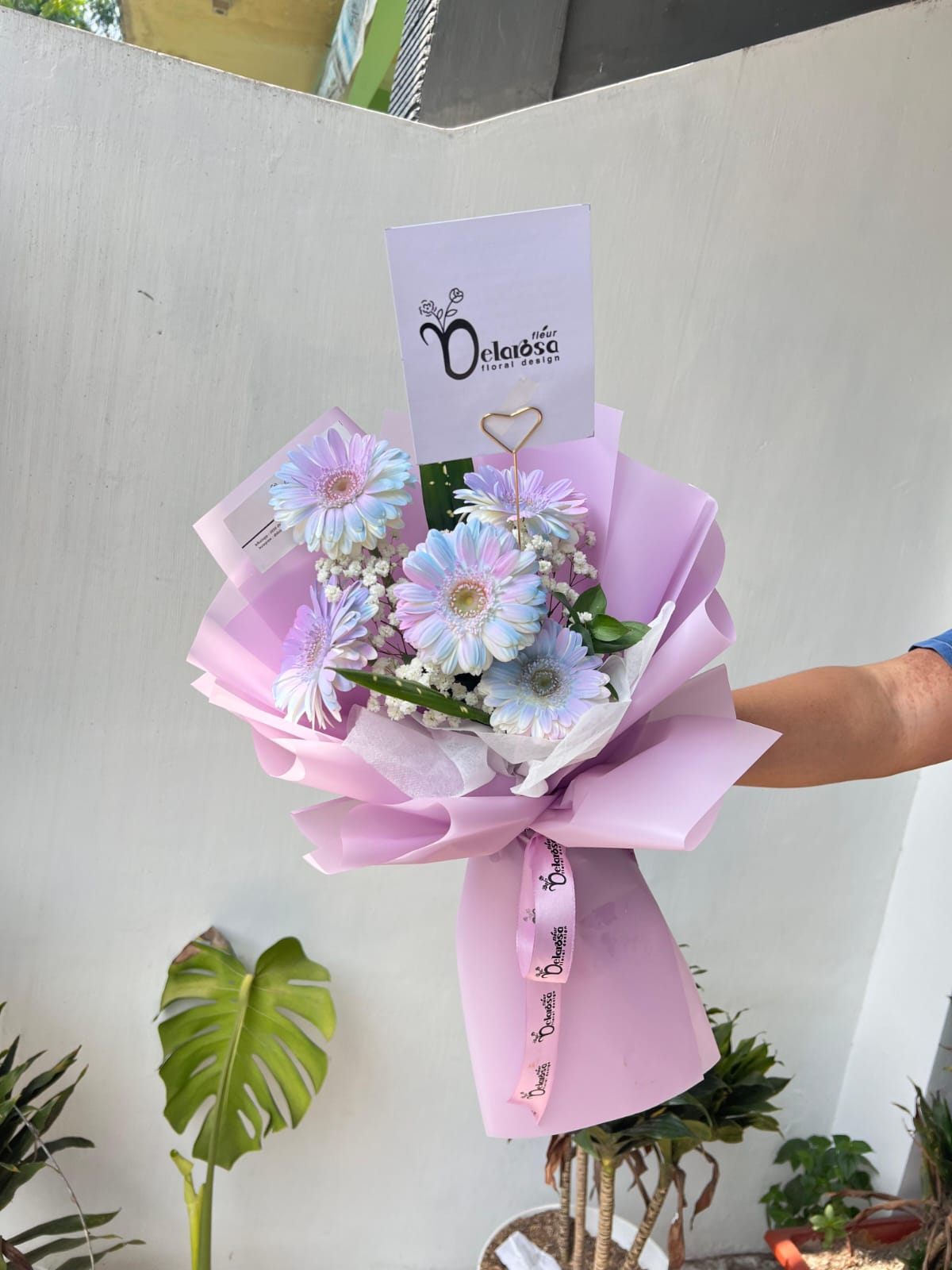 Luxury Gerbi Candy - Delarosa Fleur | Toko Bunga Kediri | Florist ...